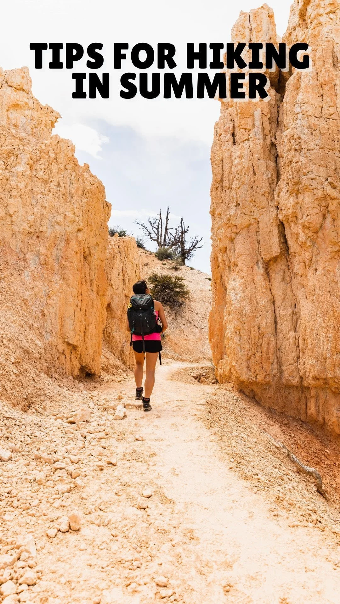 The Best 5 Day London Itinerary Nichole The Nomad