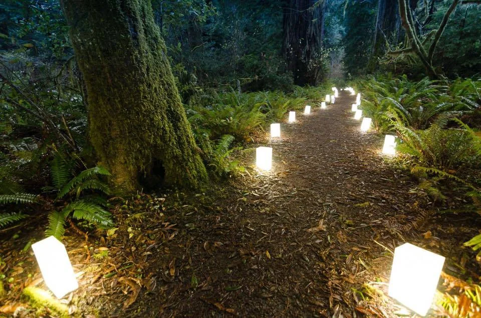 Blue River Forest Experience