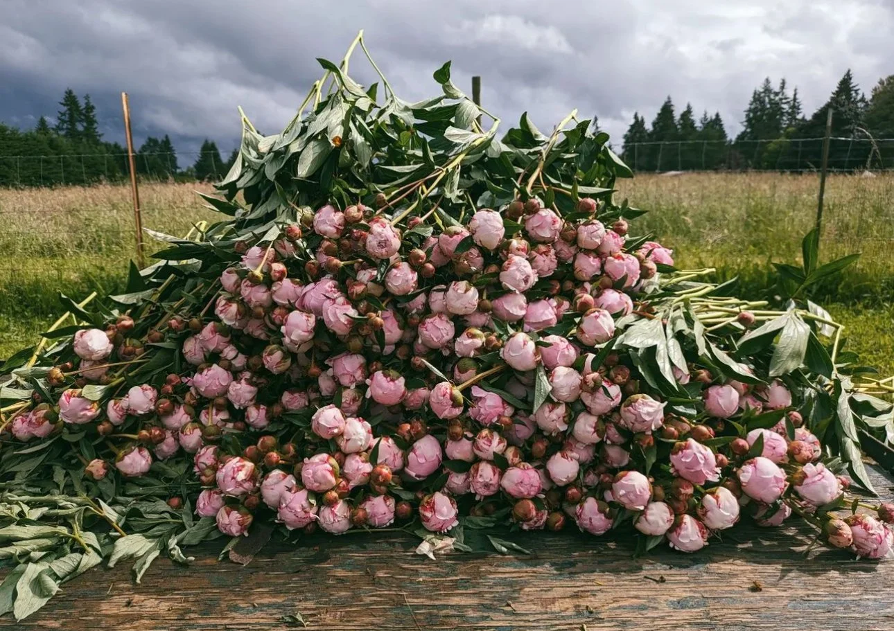 best flowers in portland best flower shop — COLIBRI FLOWERS