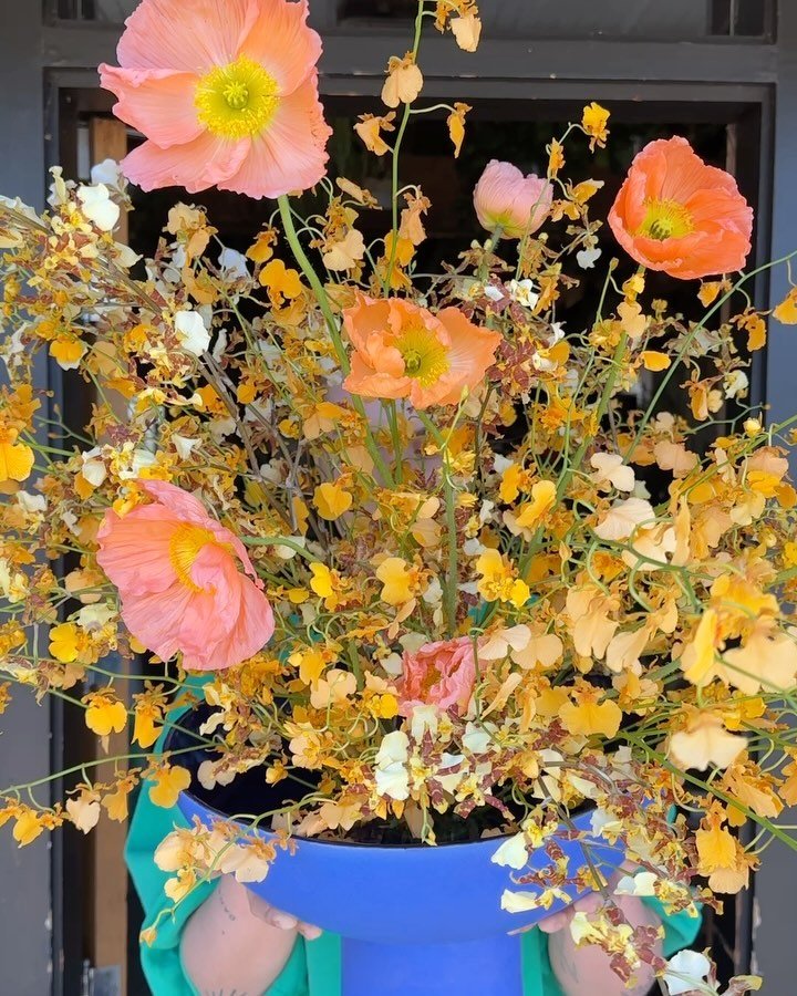 COLIBRI FLOWERS