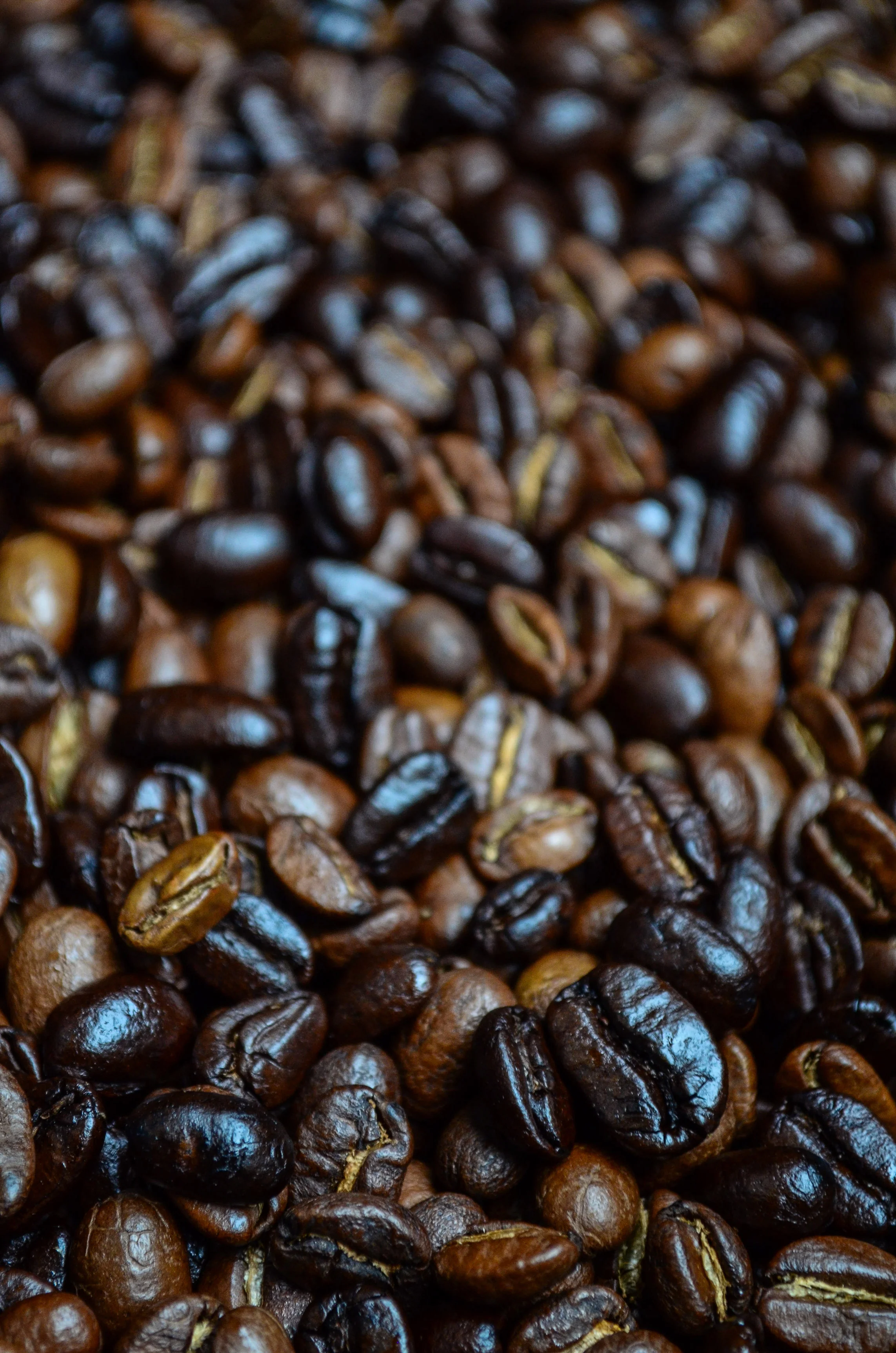 J. Brooks Coffee Roasters - Best Coffee In Memphis