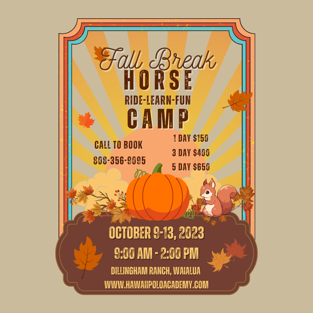 Kids Camps — Hawaii Polo Academy