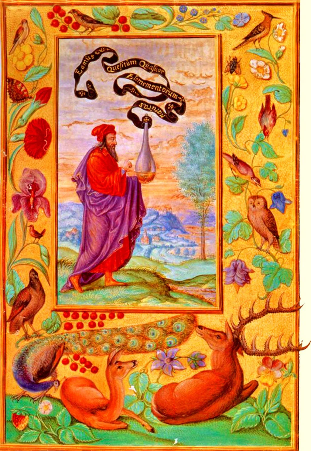 Introduction to Alchemical Psychology with Thom Cavalli Video Course ...
