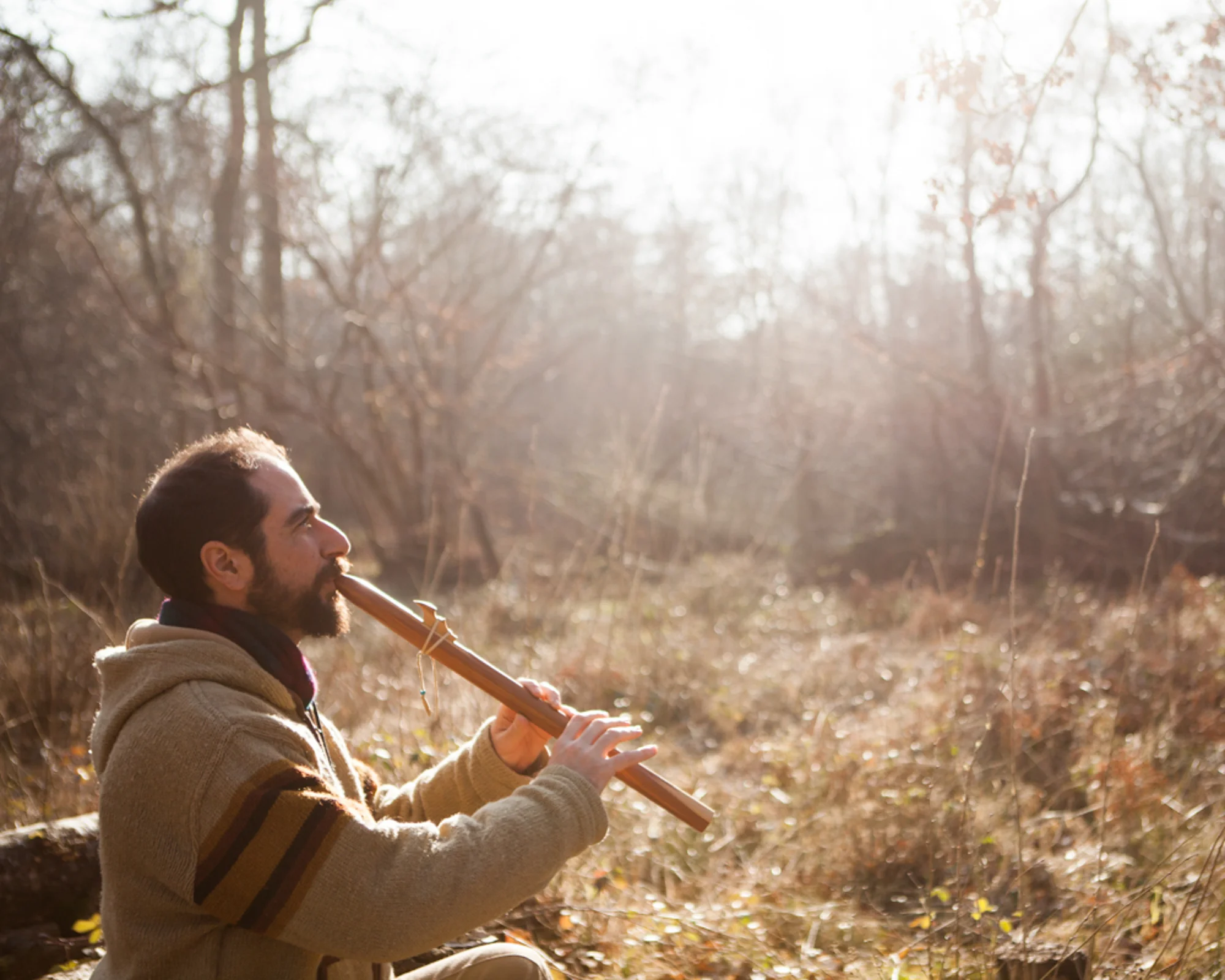 Portraits — LAURA DODSWORTH