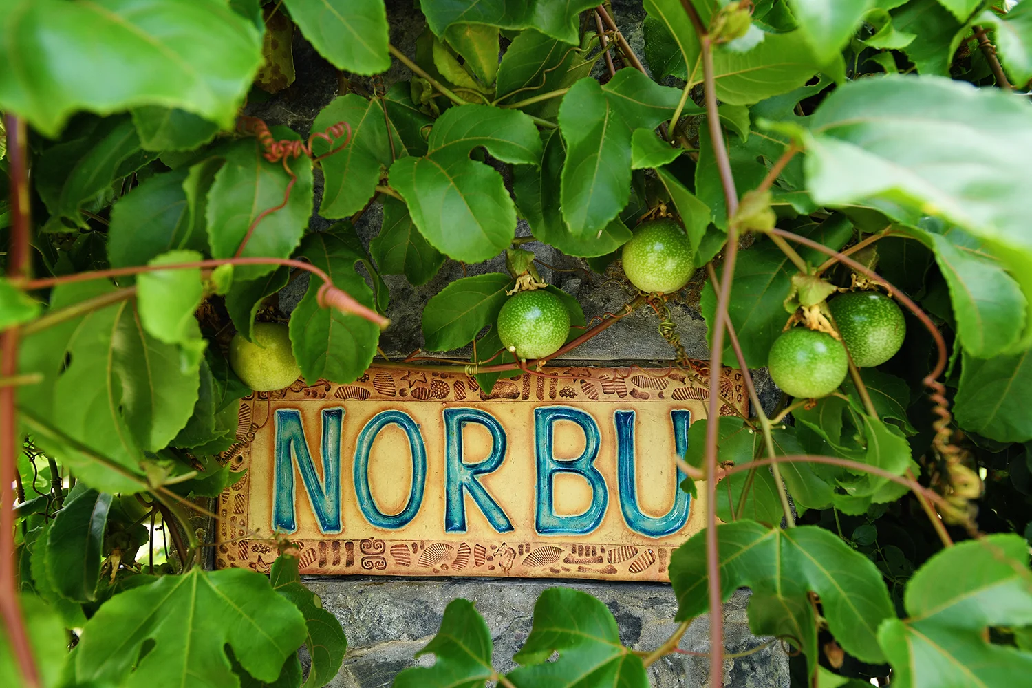 Pure Passion — Villa Norbu