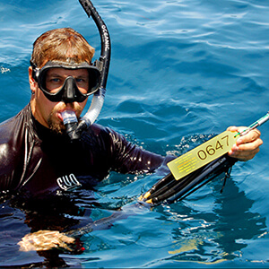 Matt Potenski — Shark Research Institute