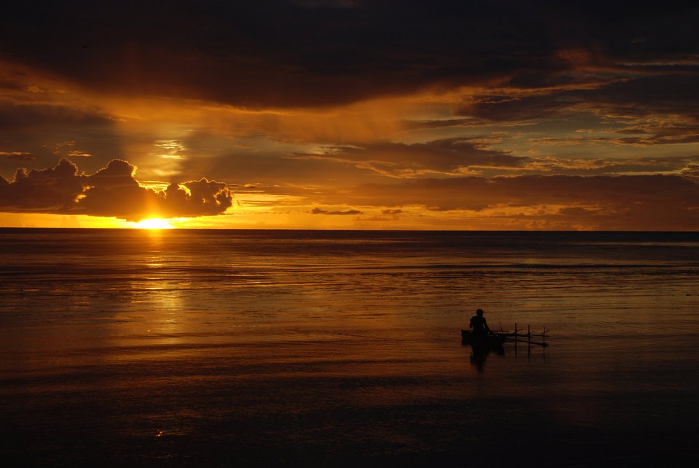 Shark Calling Papua – Shark Callers: Papua New Guinea – DTWNIR