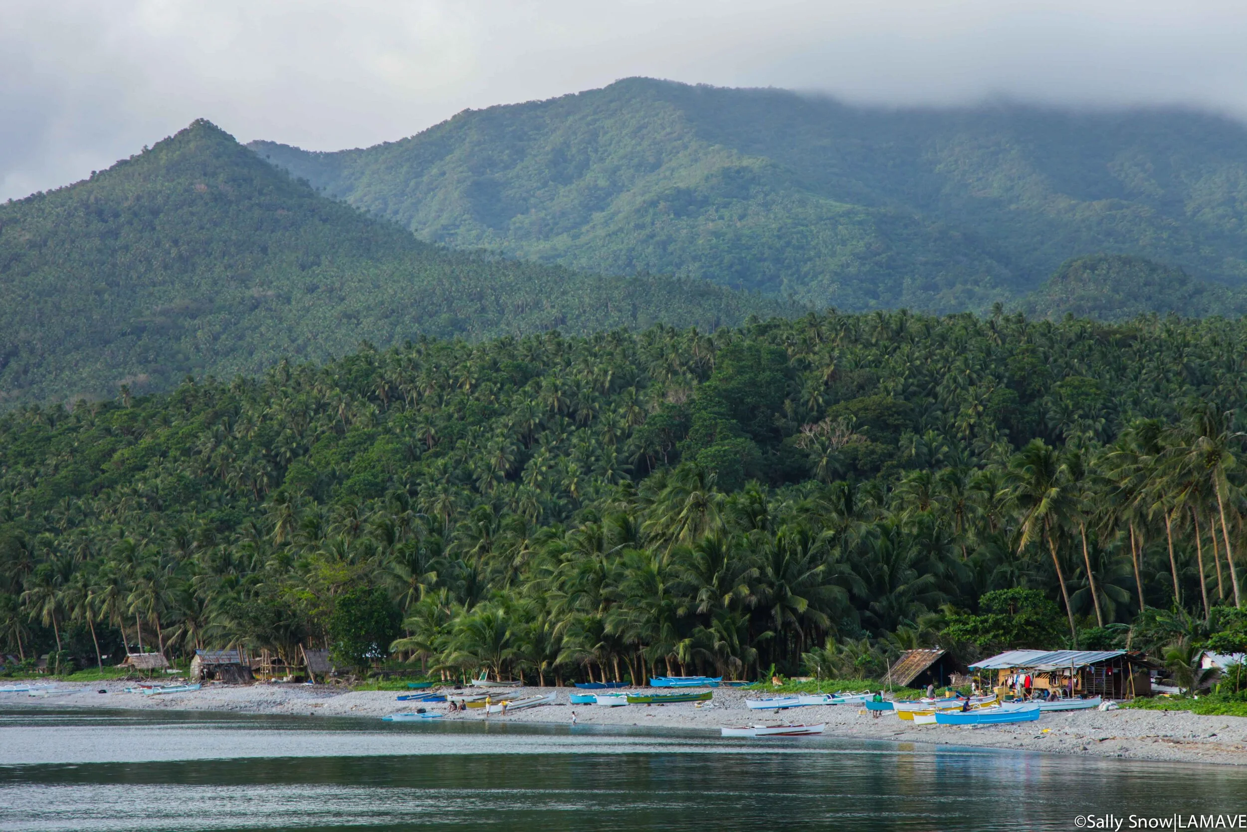 Shark ecotourism transforms attitudes to marine conservation — Shark ...
