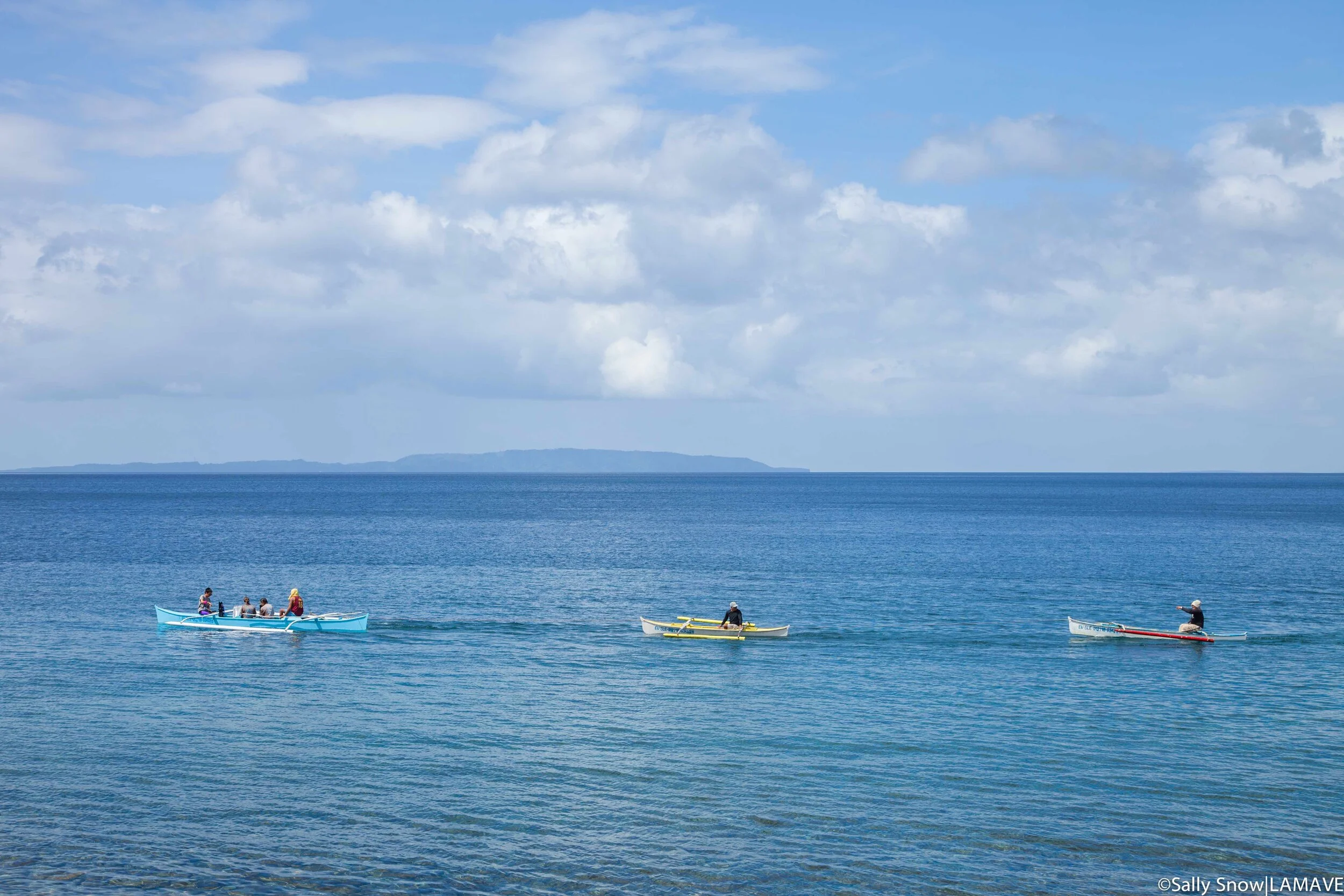 Shark ecotourism transforms attitudes to marine conservation — Shark ...