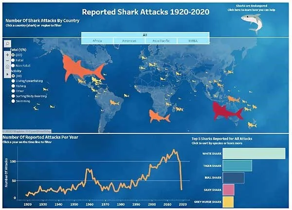 shark attacks — Blog — Shark Research Institute