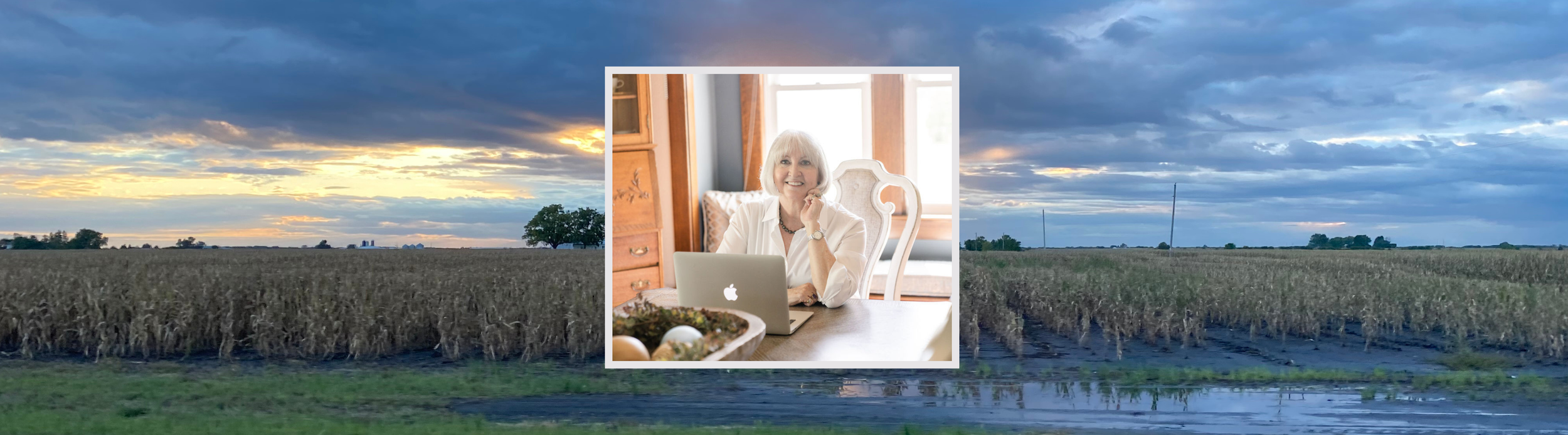 Blog — Denise McCormick
