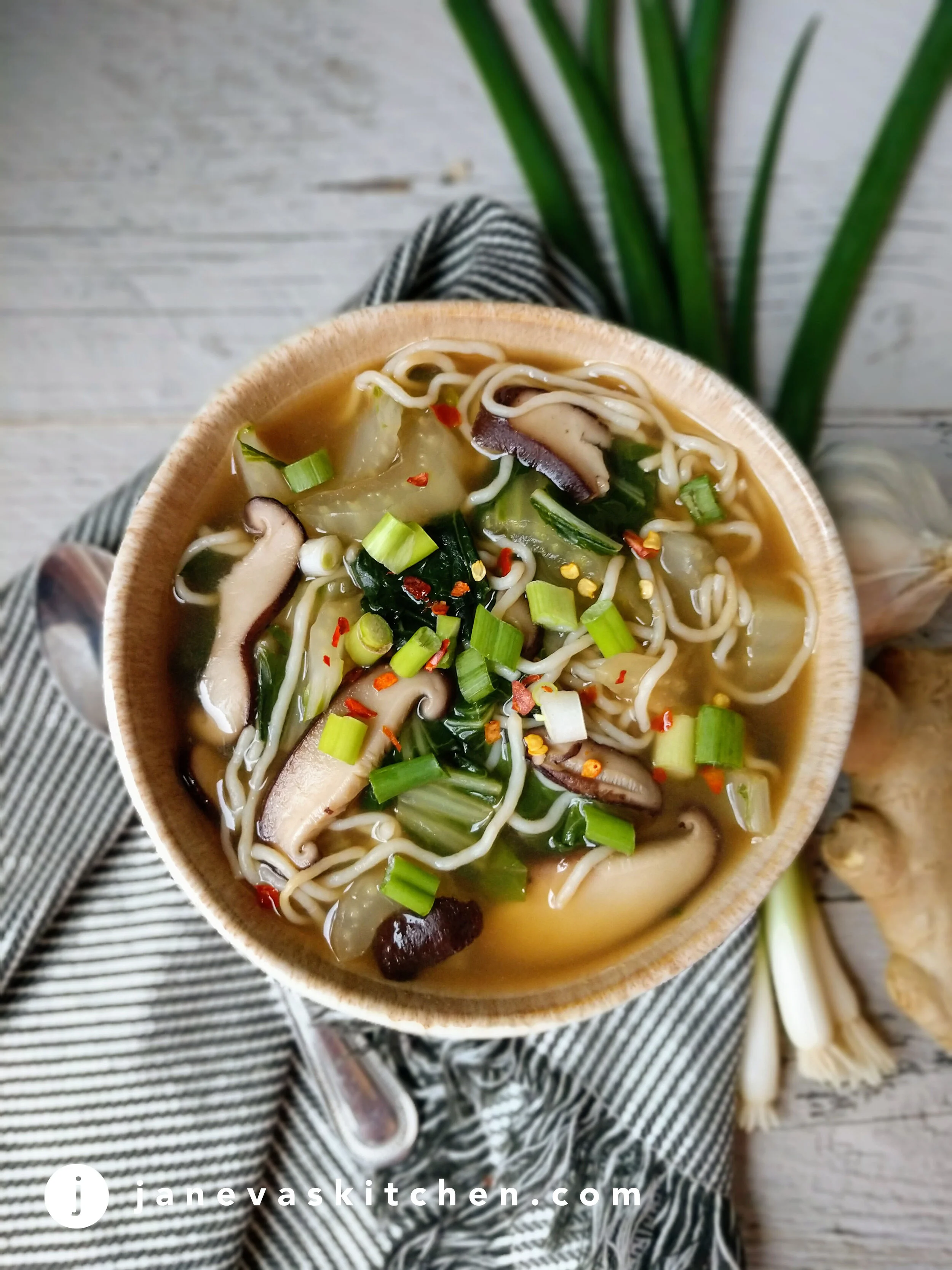 Asian Noodle Soup — Janeva's Kitchen