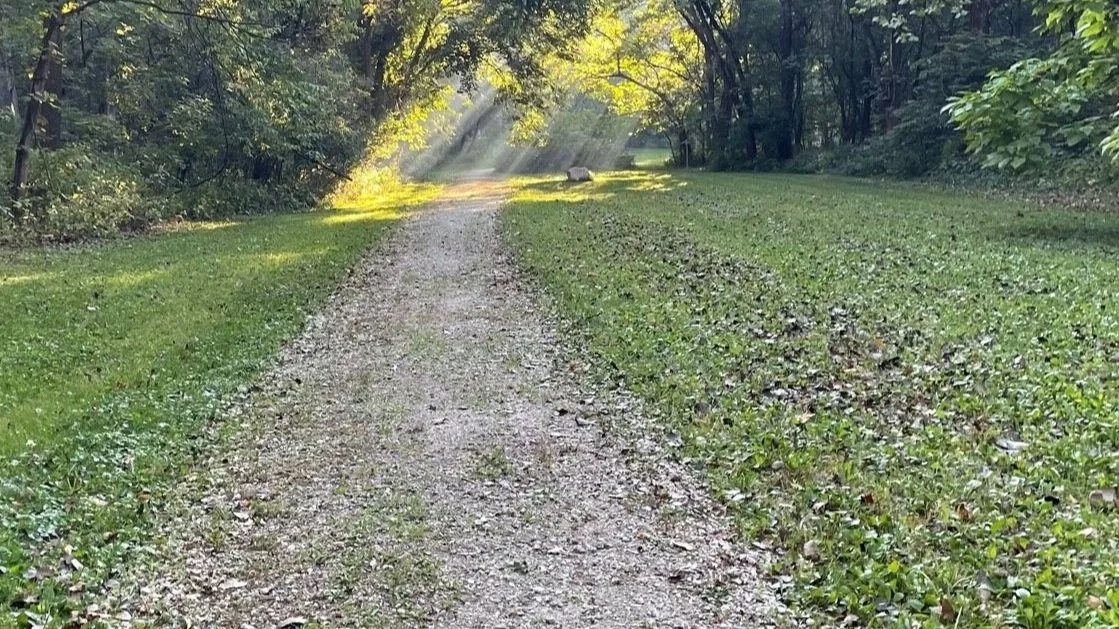 About Me — David Odle, Trainer, Fitness Enthusiast, and Author