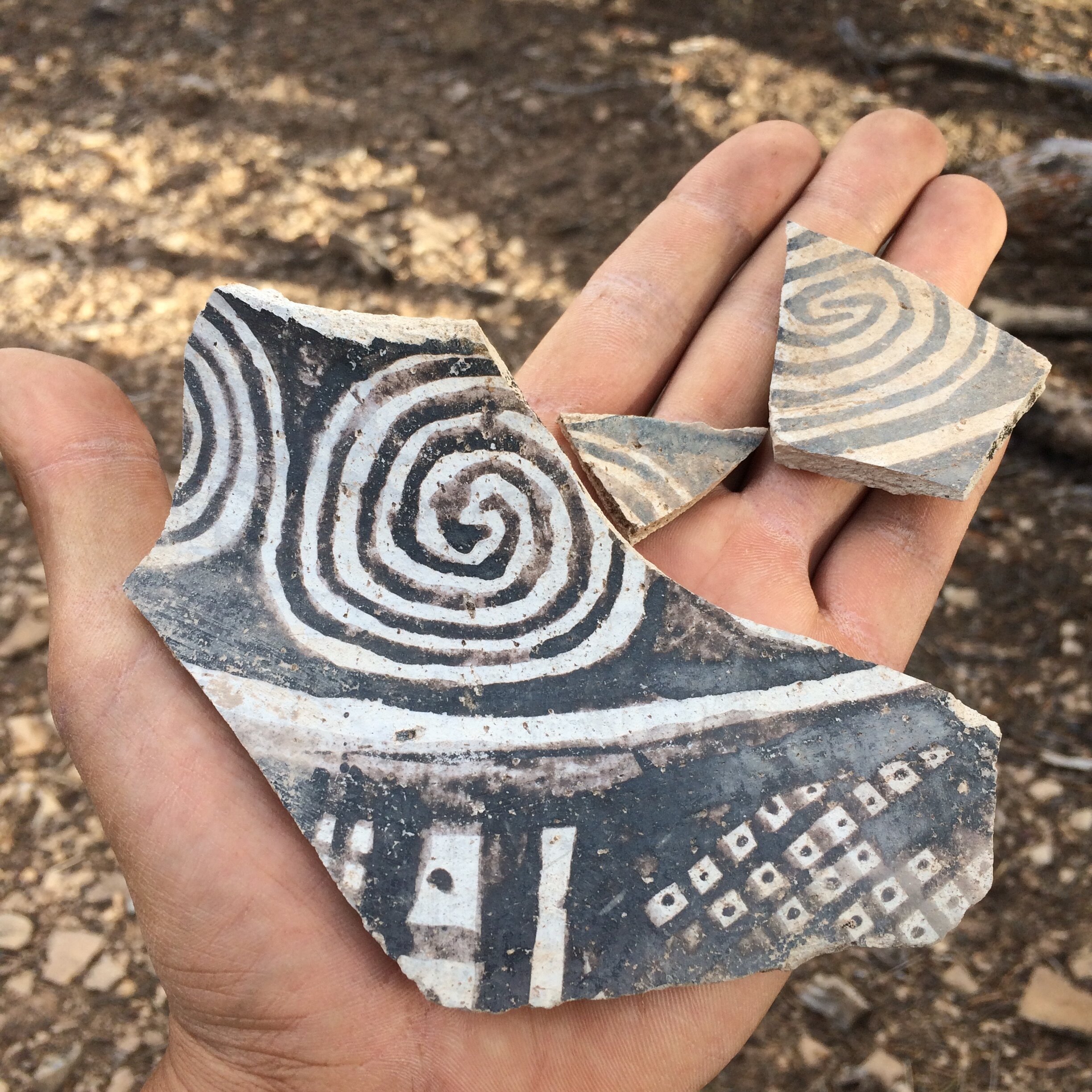 Wade Campbell | Archaeologist | I Am A Scientist