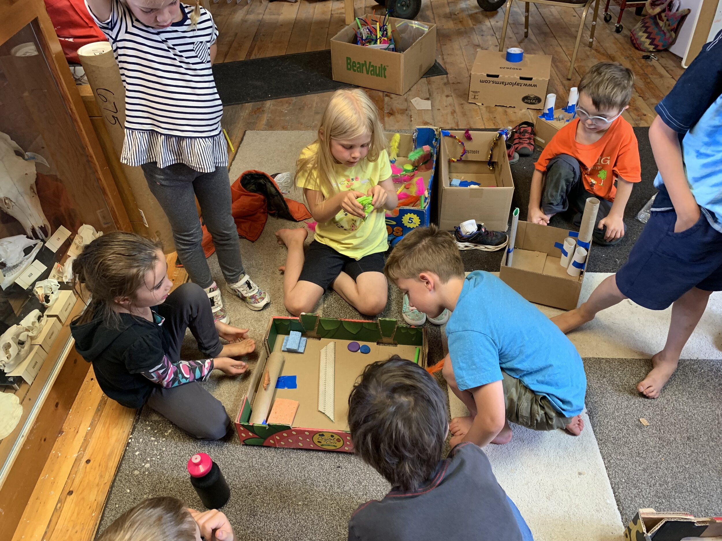 In Your Classroom — Yellowstone Wildlife Sanctuary