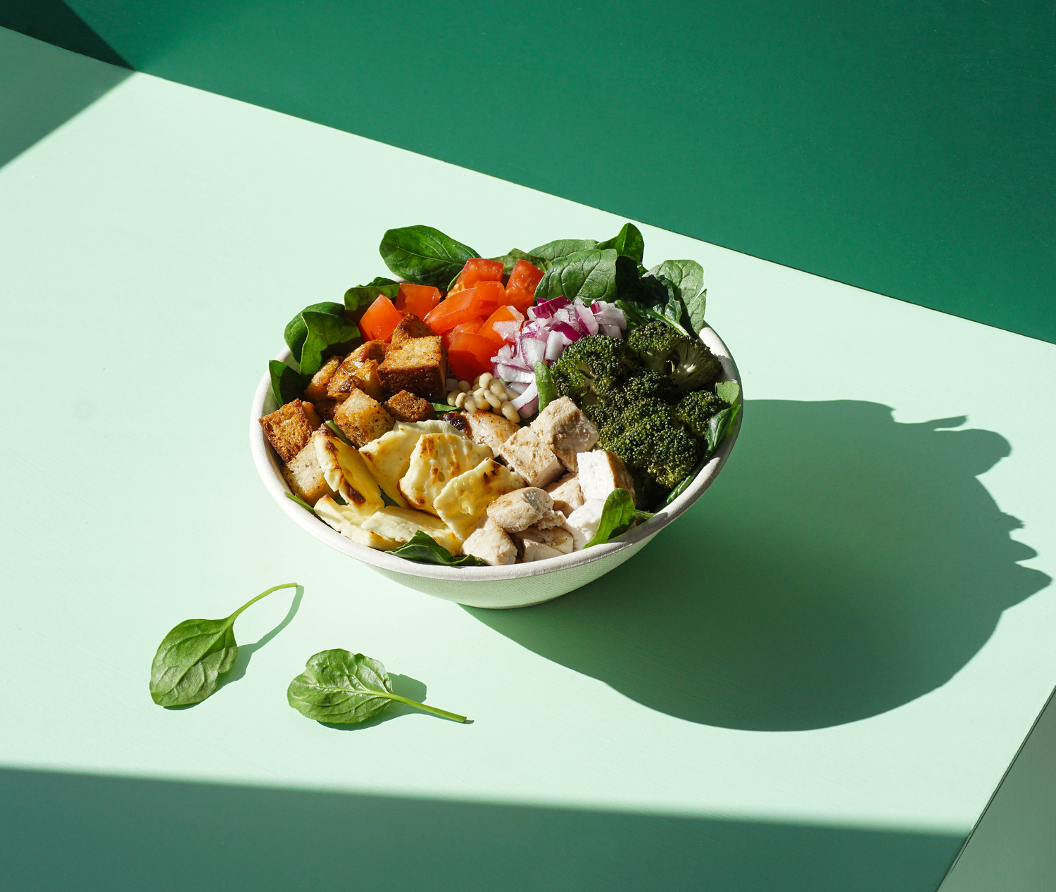 Toss - Fresh & Tasty Salads Made To Order Auckland | Salads Shop