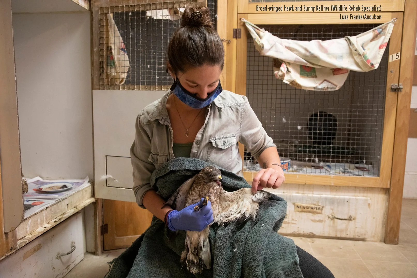 Save A Bird Team — Spokane Audubon Society