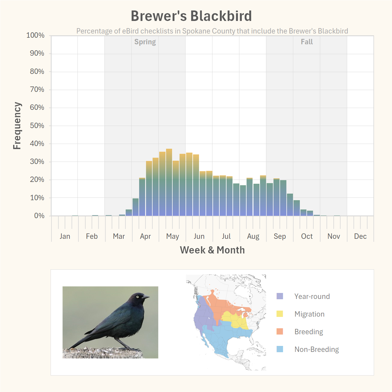 Local Birds — Spokane Audubon Society
