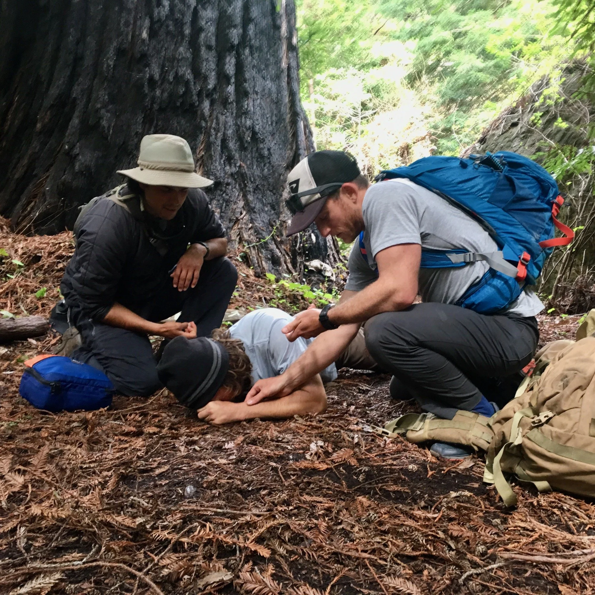 Wilderness Medical Training in California & Washington — BMG