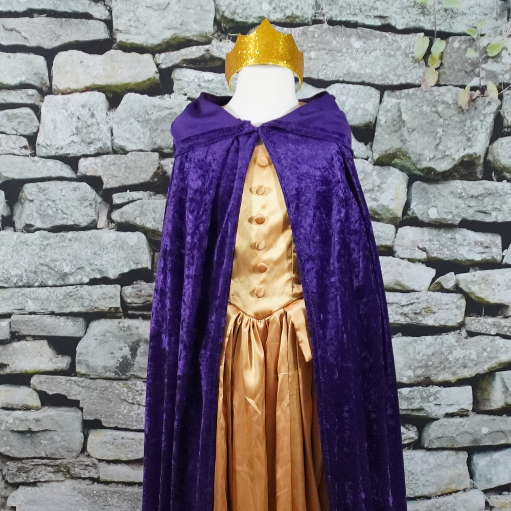 Medieval Evil Queen Costume
