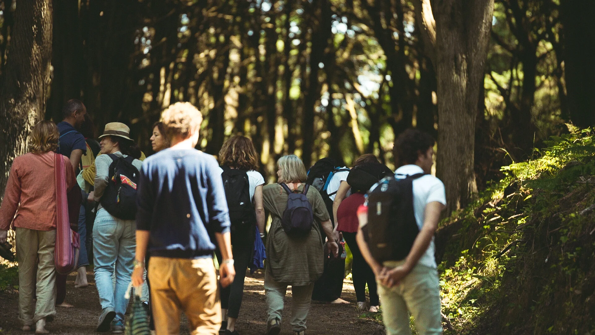 Restore Balance in Silence and Nature - A Virtual Walk — Quiet Parks ...