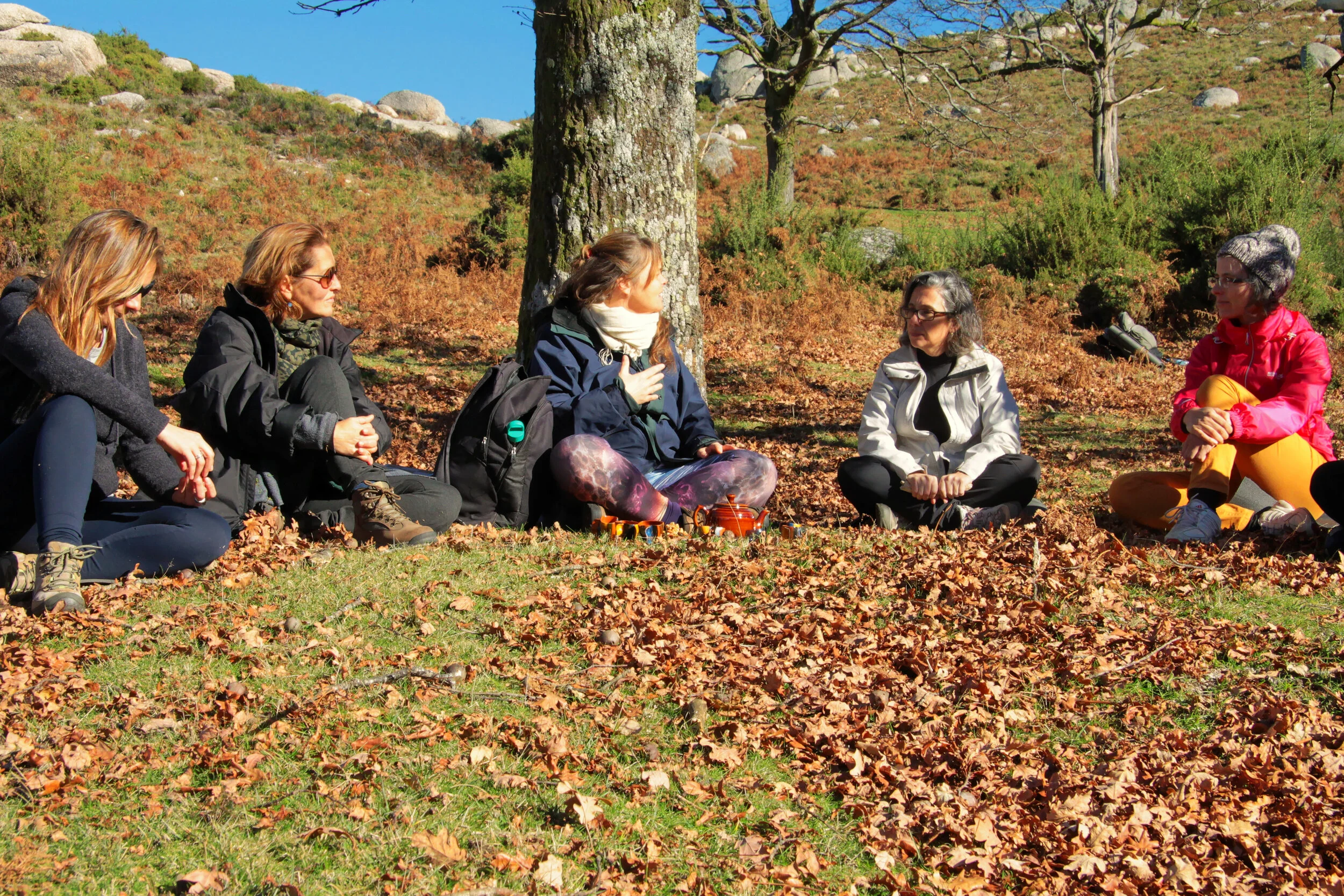 Restore Balance in Silence and Nature - A Virtual Walk — Quiet Parks ...