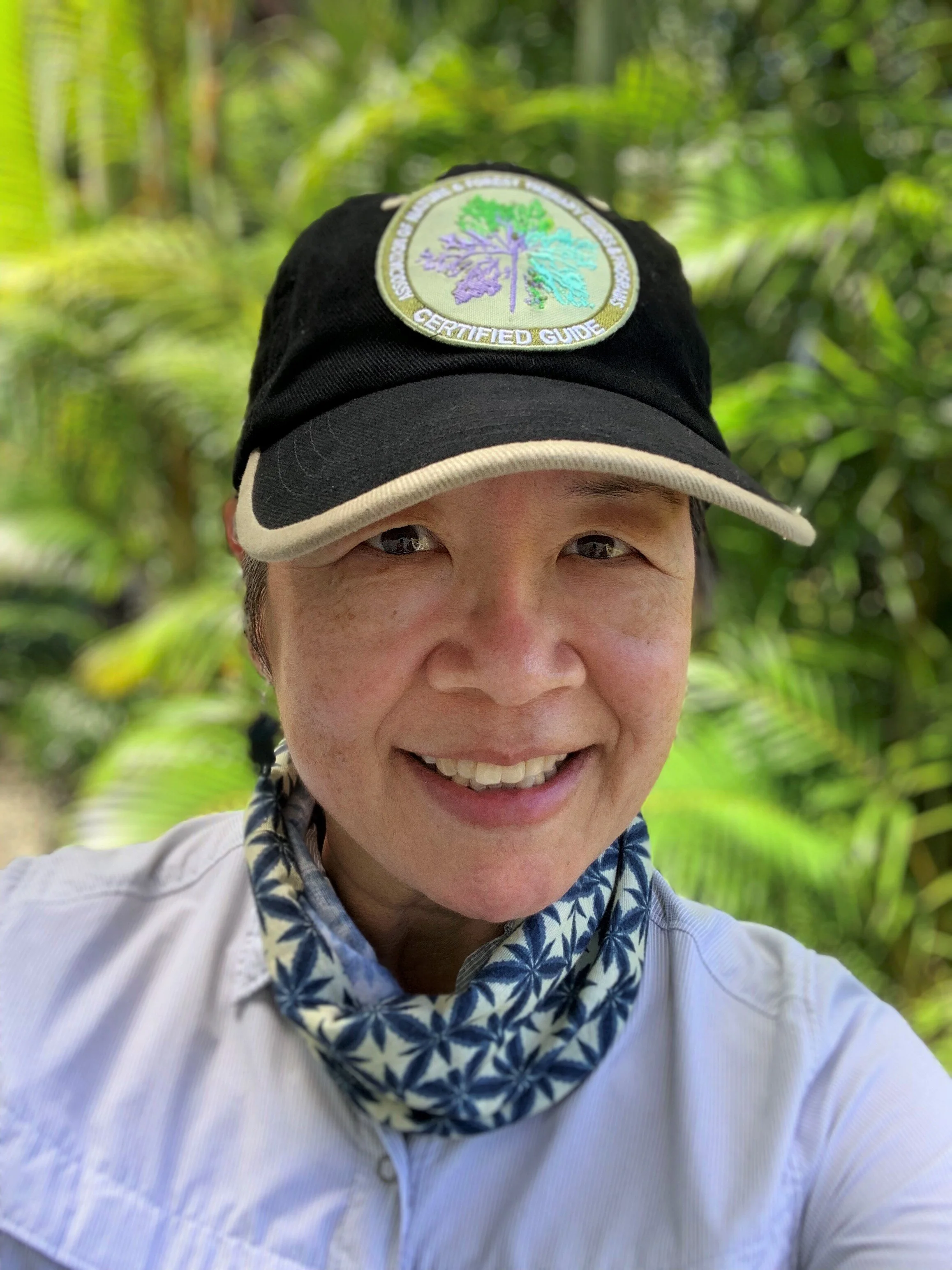 The Healing Songs of Hawaiian Rain Forest by Phyllis Look — Quiet Parks ...