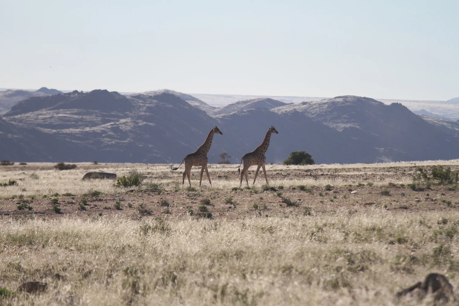 Sandfontein Lodge and Nature Reserve, Namibia — Quiet Parks International