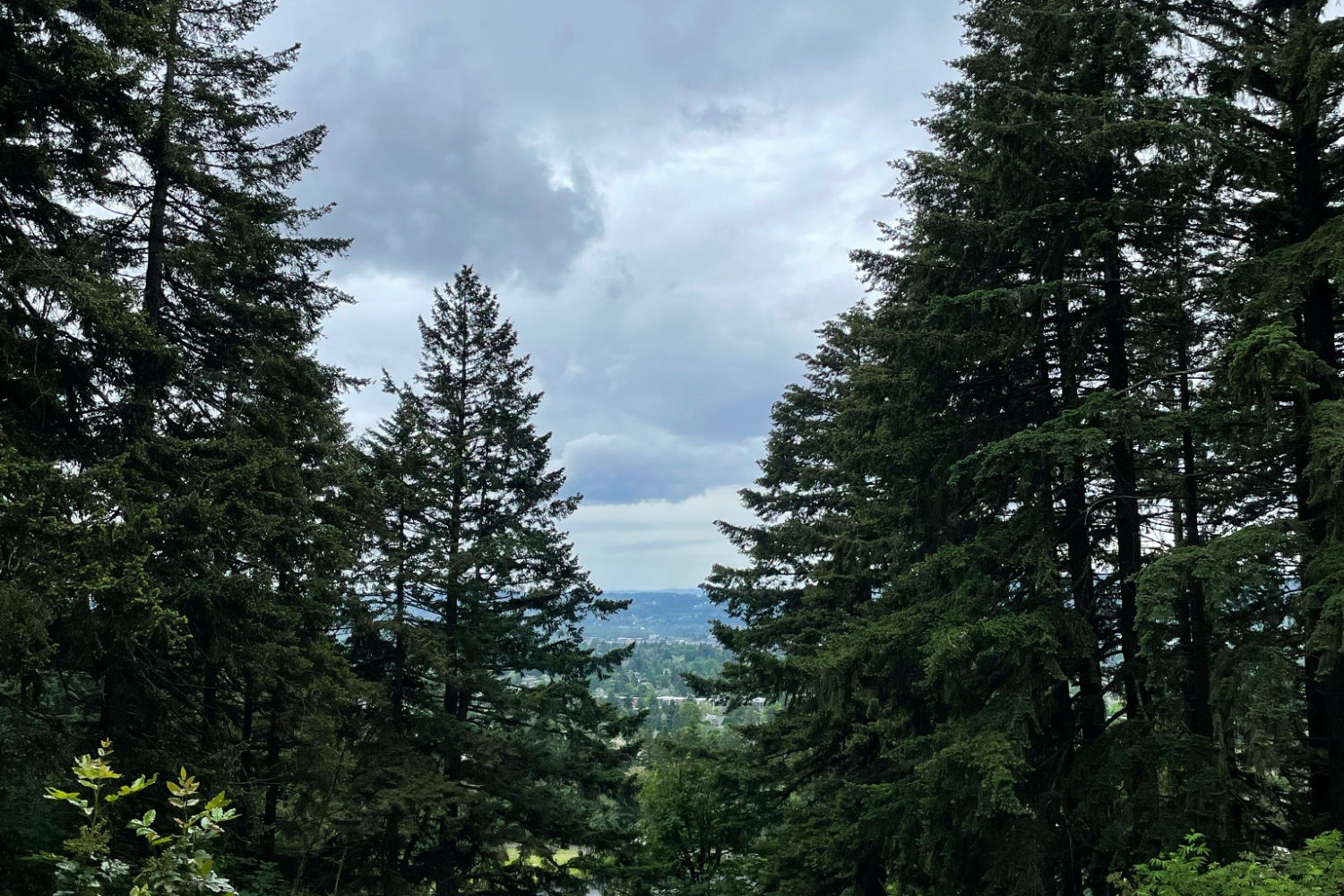 Mt Tabor, Portland, Oregon, USA - America’s First Urban Quiet Park ...