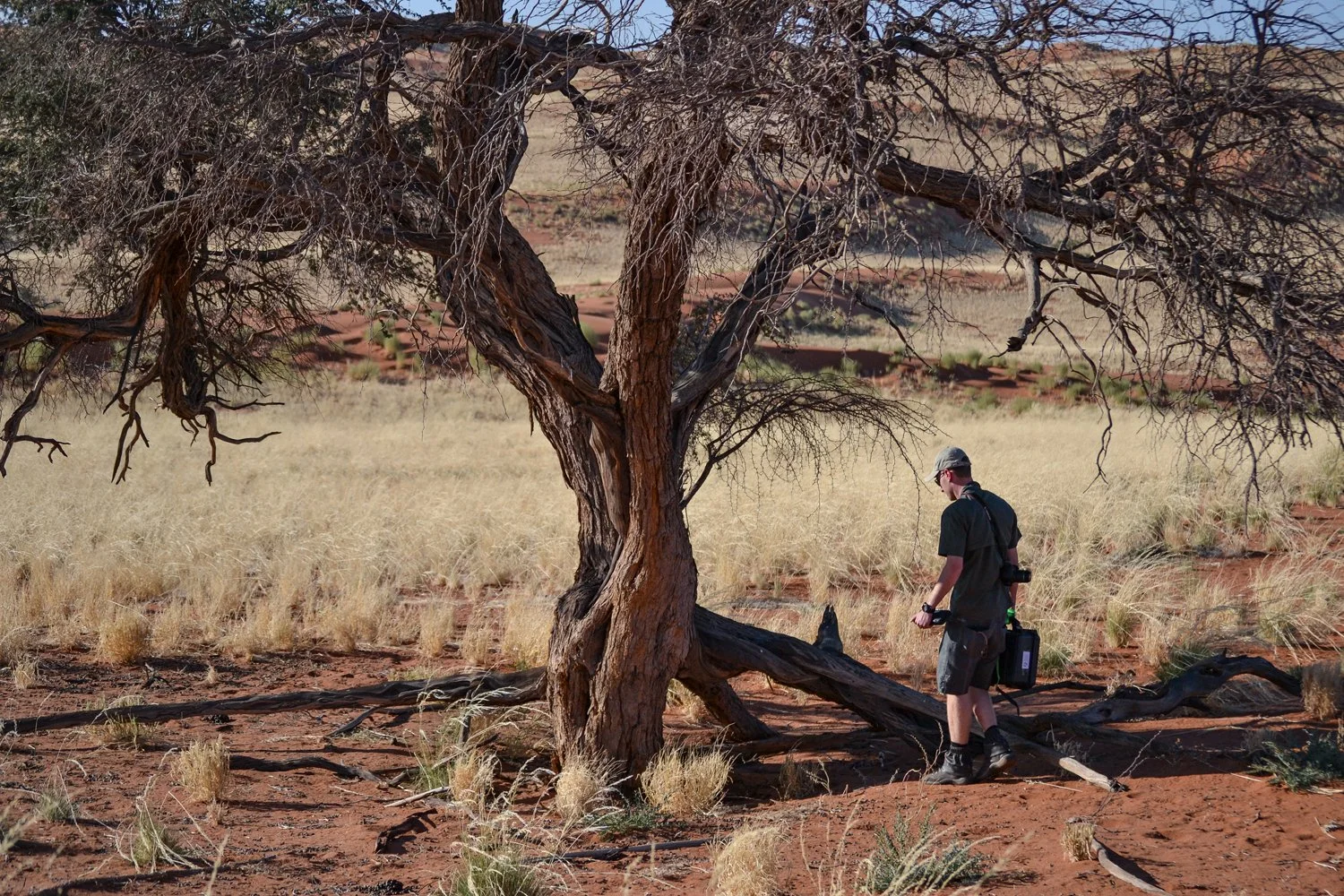The NamibRand Nature Reserve, Namibia - Africa's First Wilderness Quiet ...