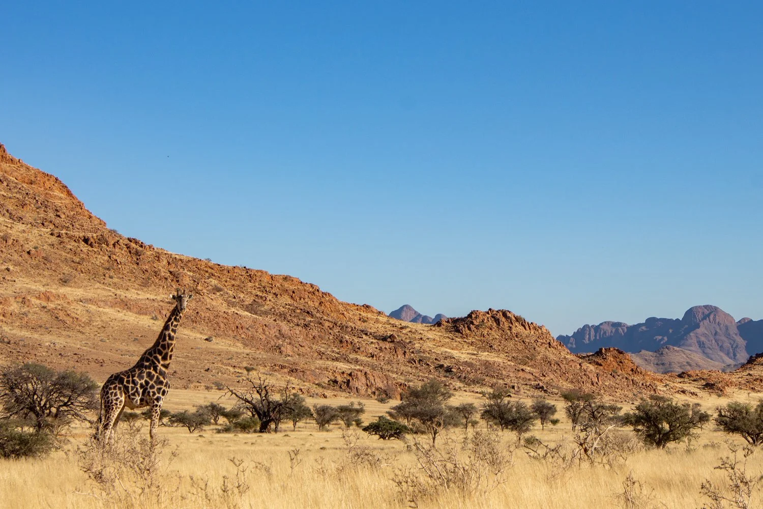 The NamibRand Nature Reserve, Namibia - Africa's First Wilderness Quiet ...