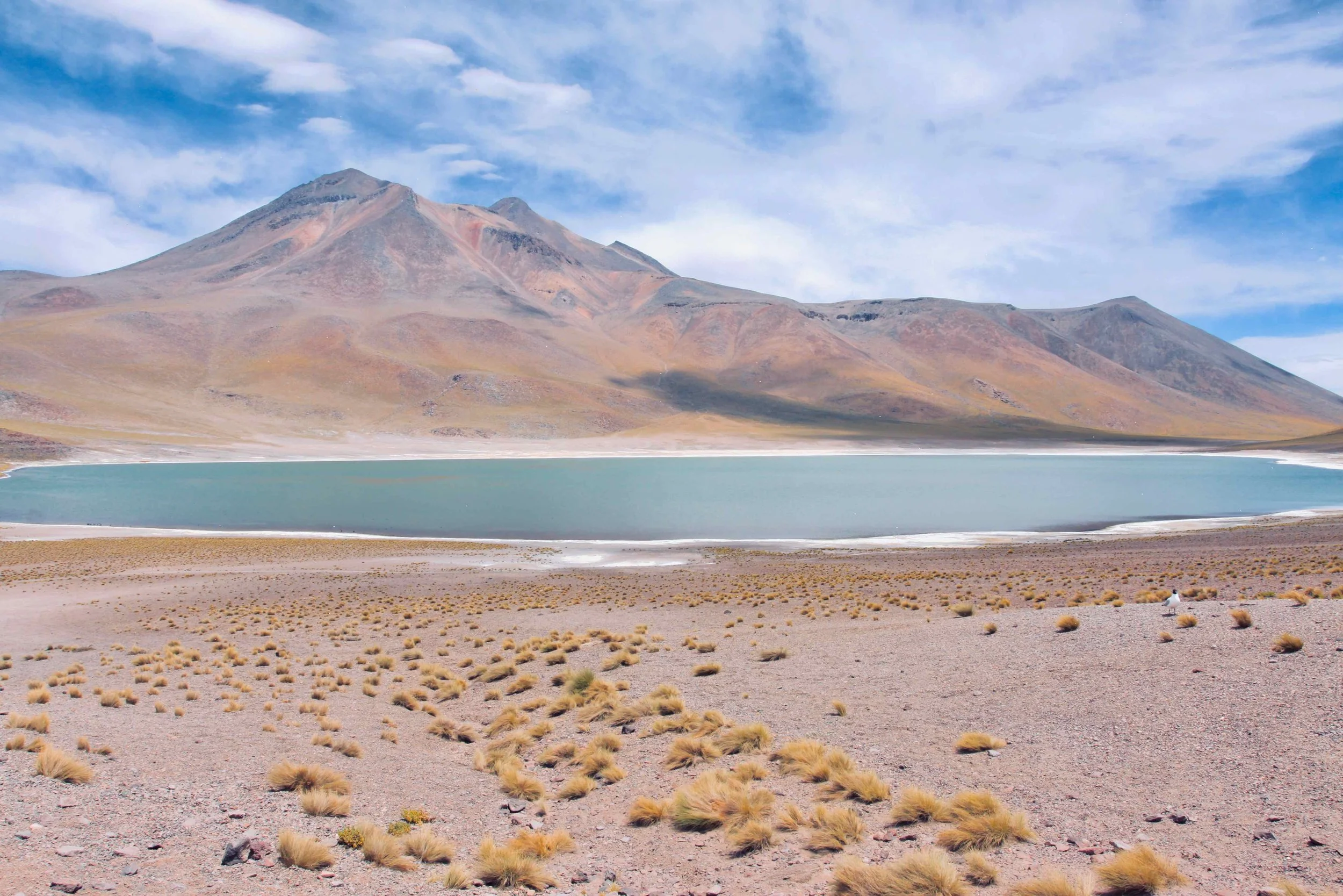 9 other-wordly landscapes in Chile's Atacama Desert — Cereal for Lunch