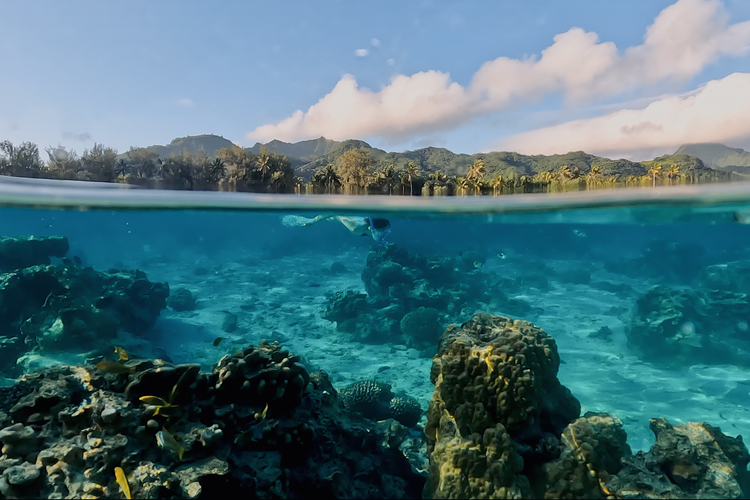 The ultimate Cook Islands travel itinerary: Incredible things to do on ...