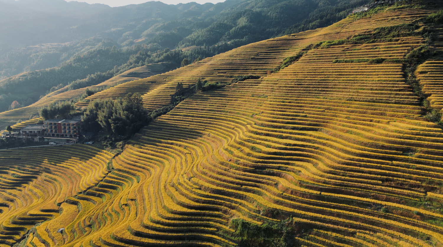 The best way to visit the Longji Rice Terraces from Guilin, China, in ...