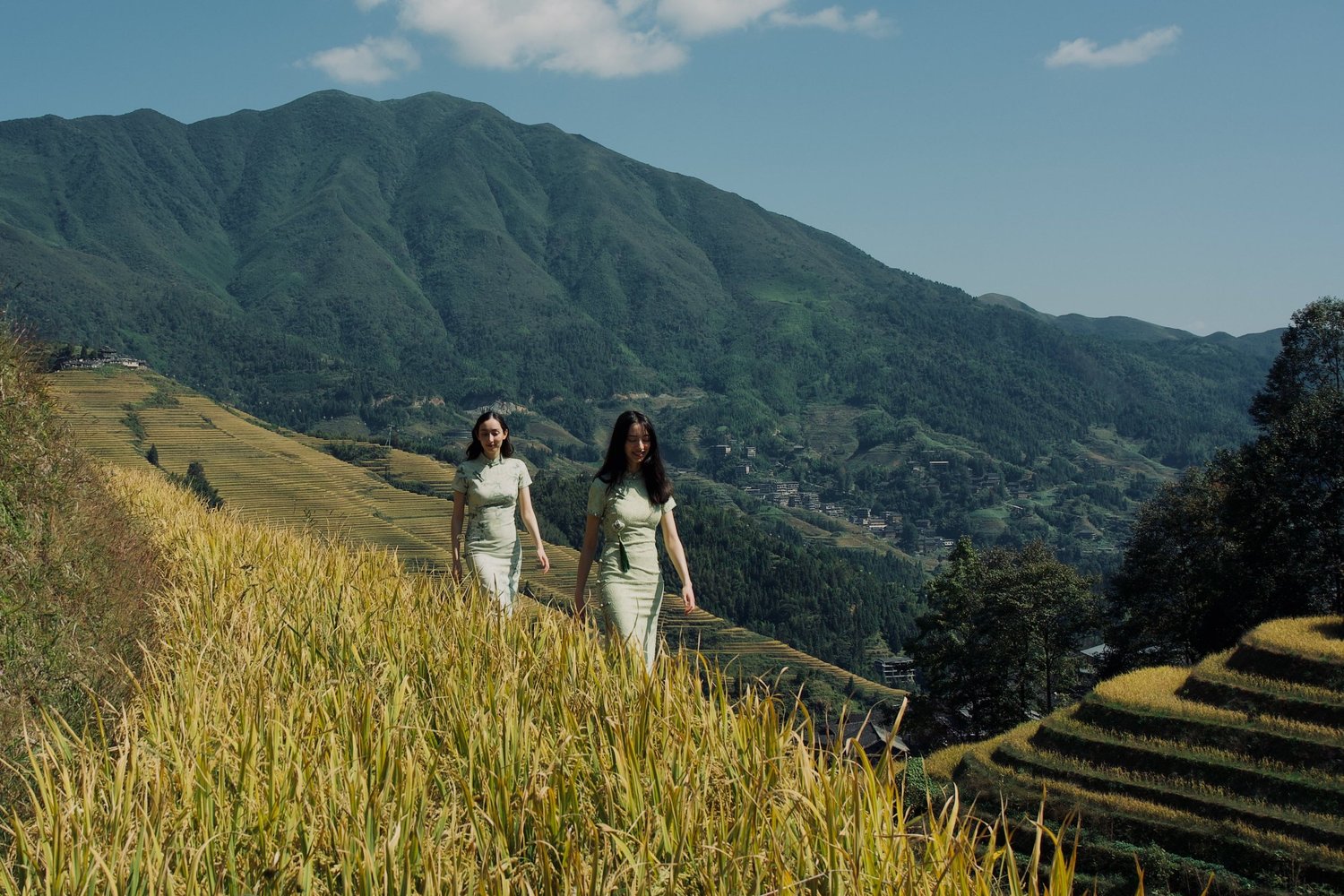 The best way to visit the Longji Rice Terraces from Guilin, China, in ...