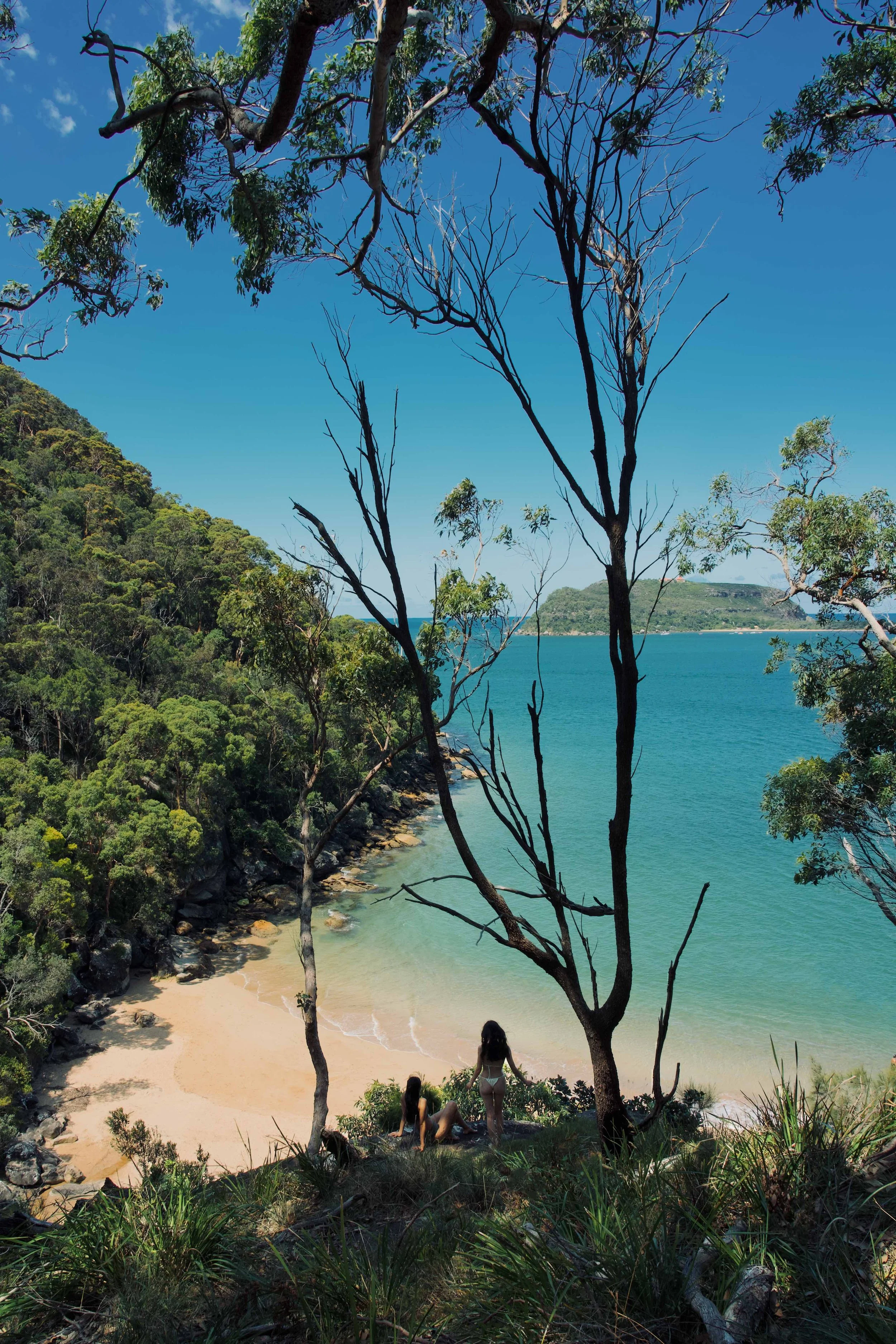 The most beautiful NSW bucket list: 31 dreamy places to visit in New ...