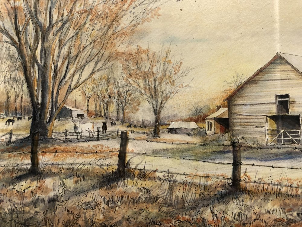 Suzanne King — STAA