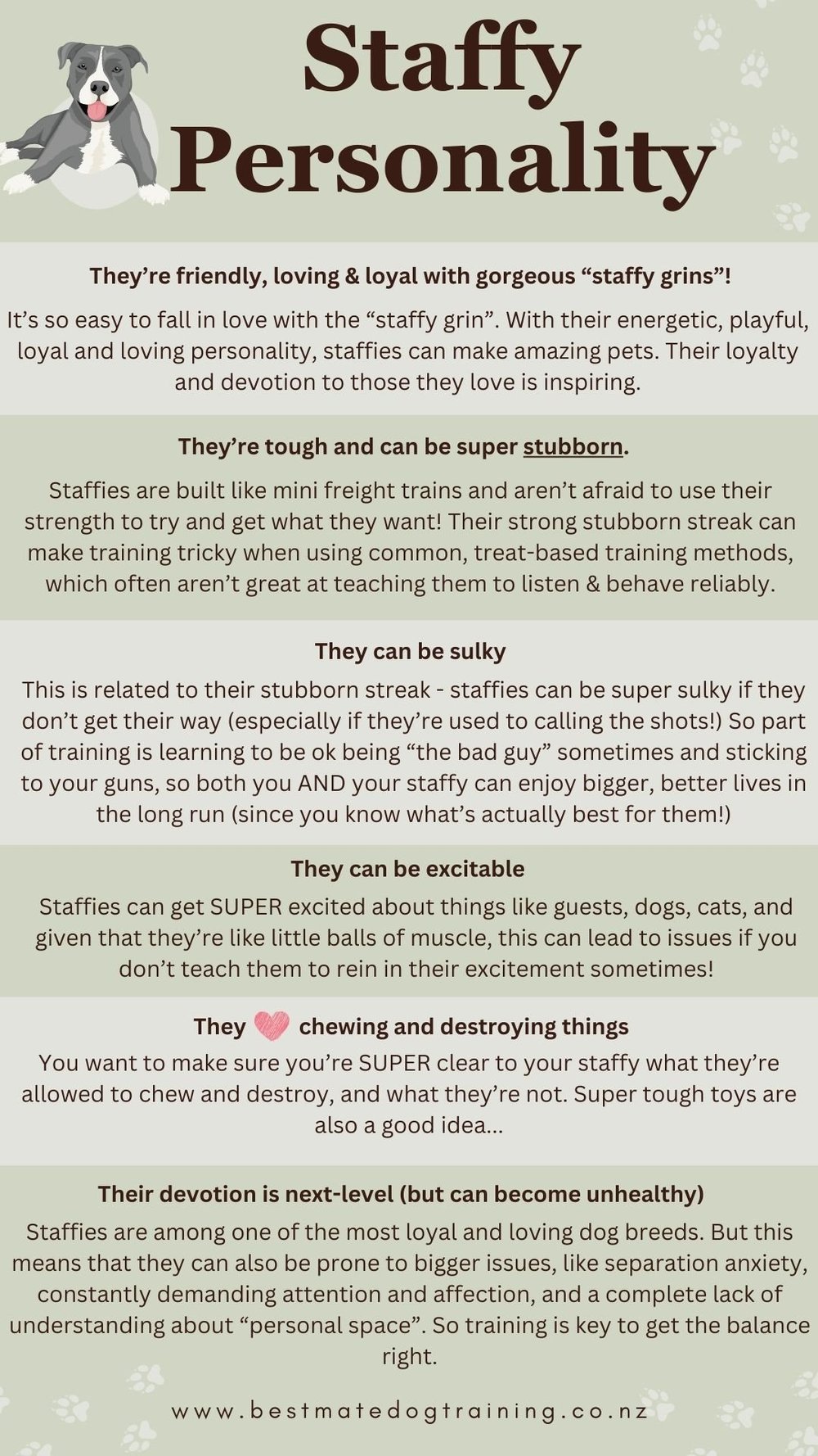 Training a Staffy - a Realistic, Honest Staffy Training Guide — Best ...