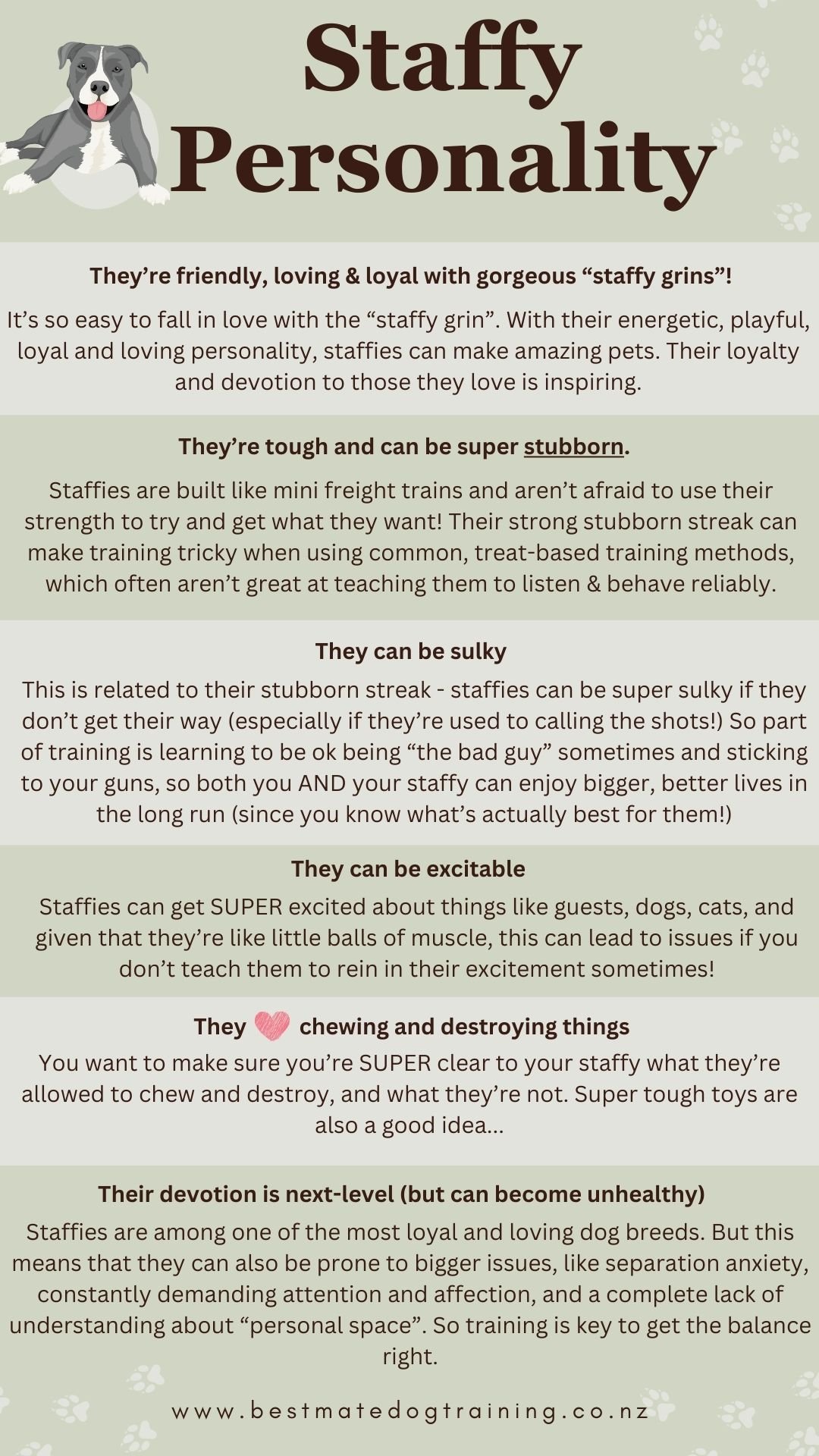 Training a Staffy - a Realistic, Honest Staffy Training Guide — Best ...