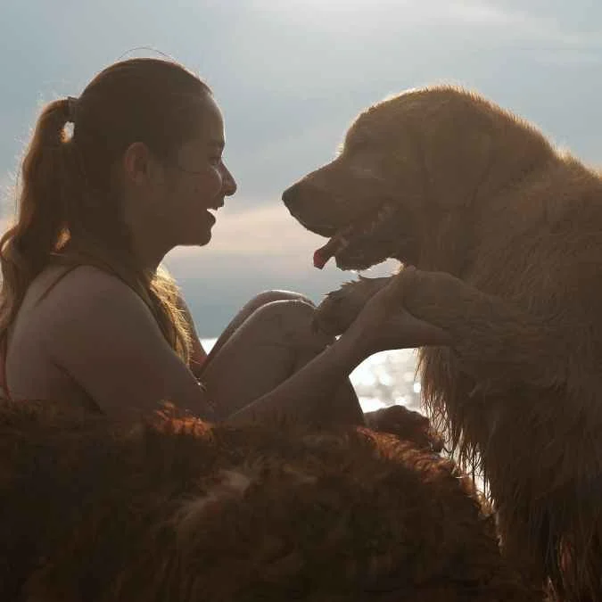 An Honest Guide to Golden Retriever Pros and Cons — Best Mate Dog ...