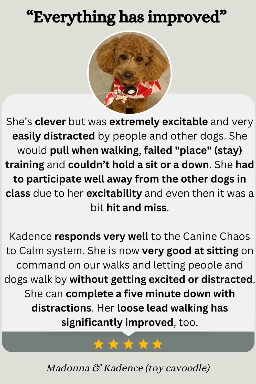 Dog ADHD & Hyperactive Dogs - The realistic, honest guide. — Best Mate ...
