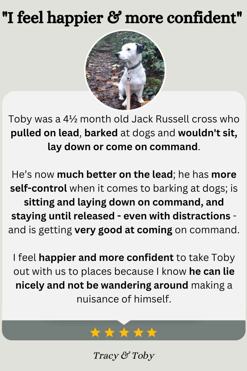 Training Jack Russells - A Realistic, Honest JRT Training Guide — Best ...