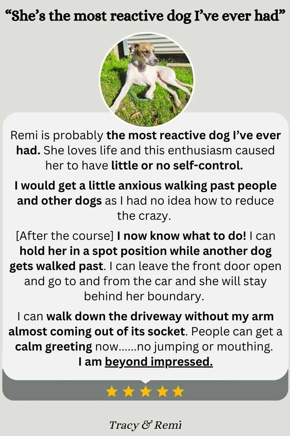 Dog Training for Reactive Dogs - The Realistic, Honest Guide to ...