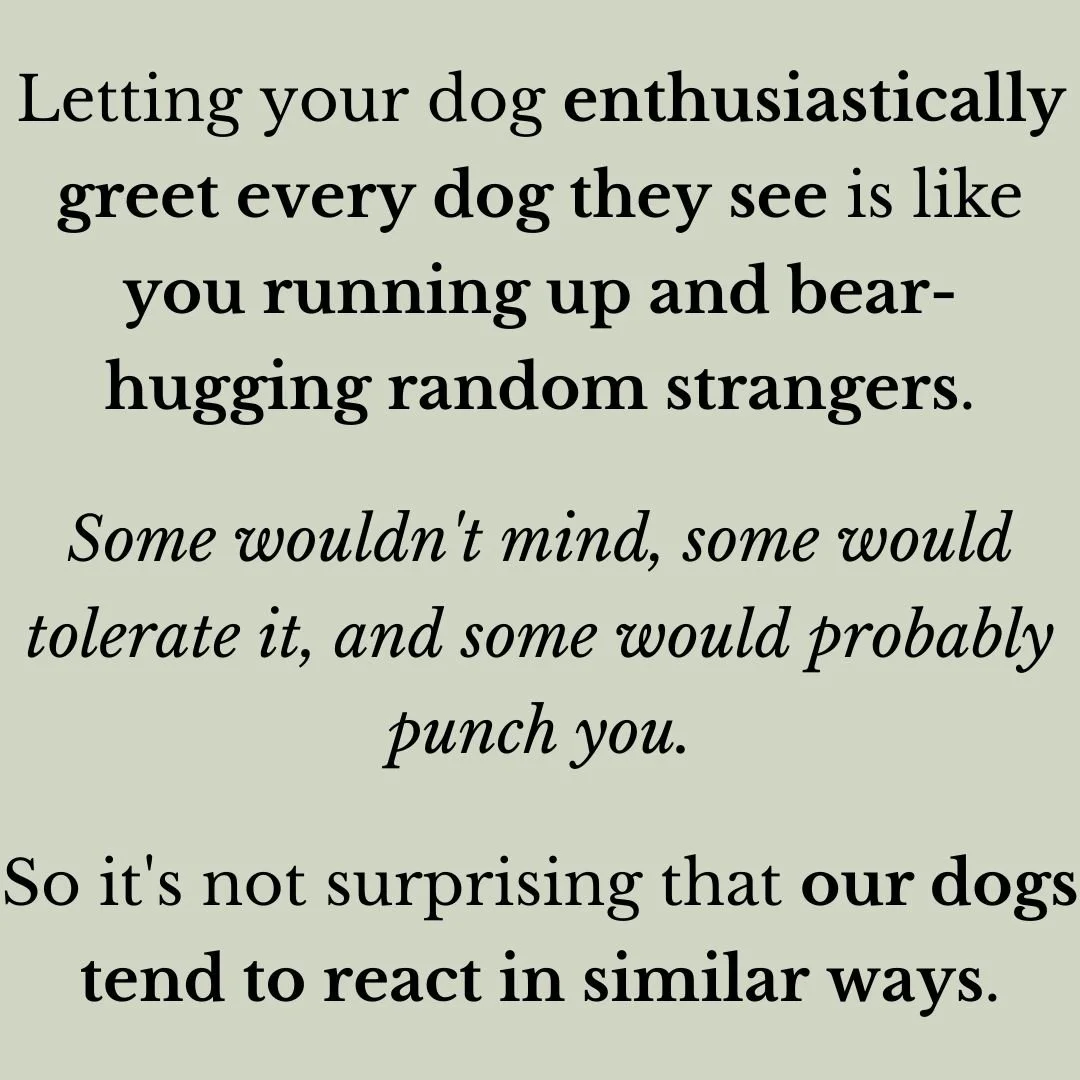 Teaching your dog to greet other dogs nicely, instead of with OTT ...