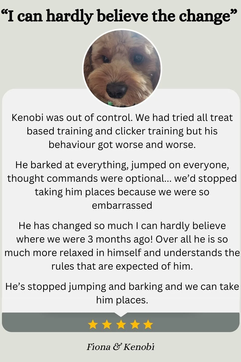 Training Cavoodles (or Cavapoos) - A Realistic & Honest Cavoodle Training Guide — Best Mate Dog ...