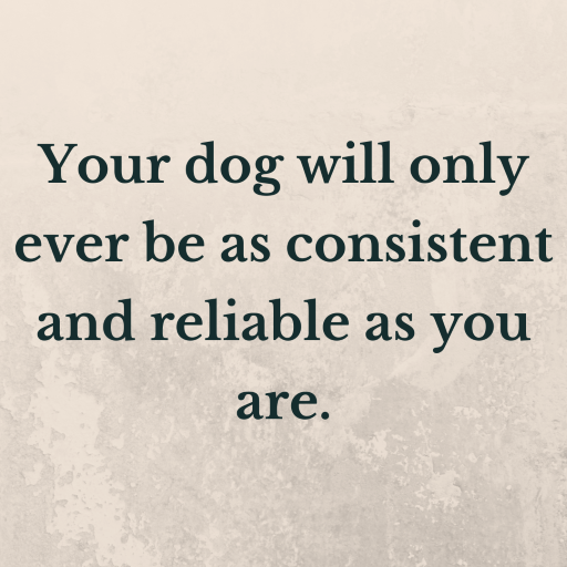 Quotes About Being Reliable