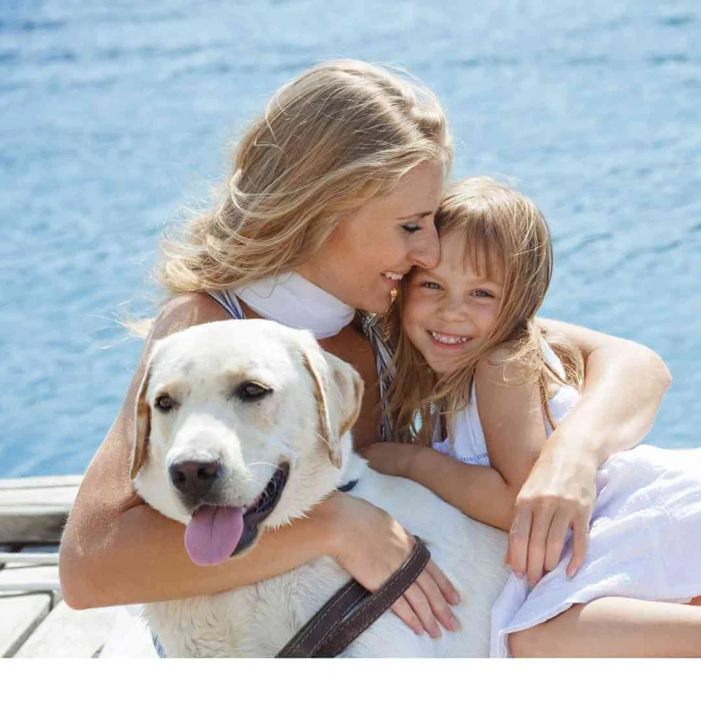 Training Labradors - A Realistic, Honest Labrador Training Guide — Best ...