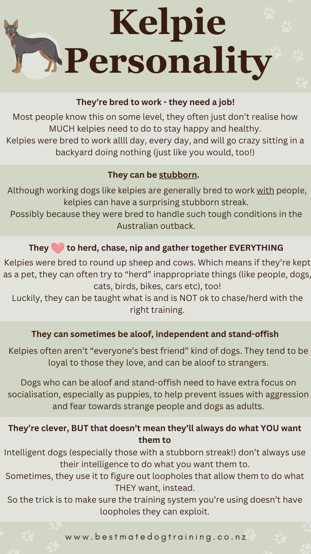 Training Kelpies (as pets) - A Realistic, Honest Kelpie Training Guide — Best Mate Dog Training ...