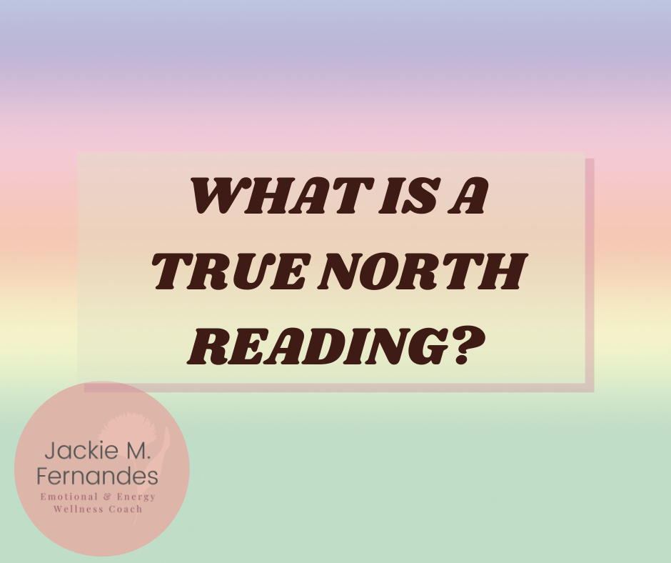 What Is a True North Reading? — Jackie Fernandes