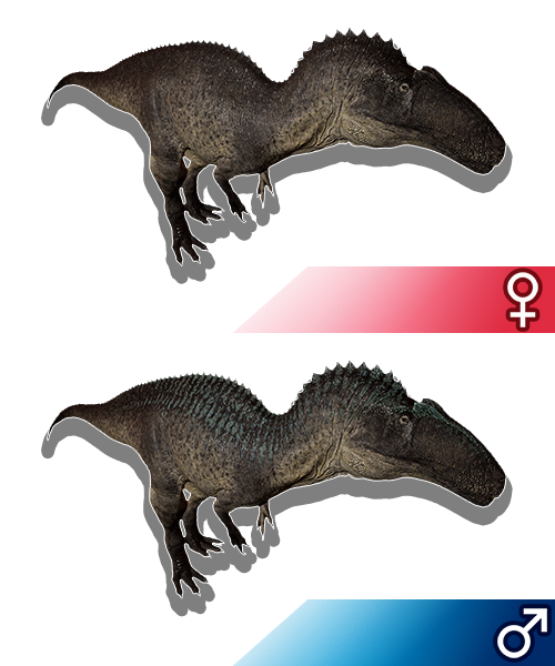 The Isle Carnivores — ISLA NYCTA